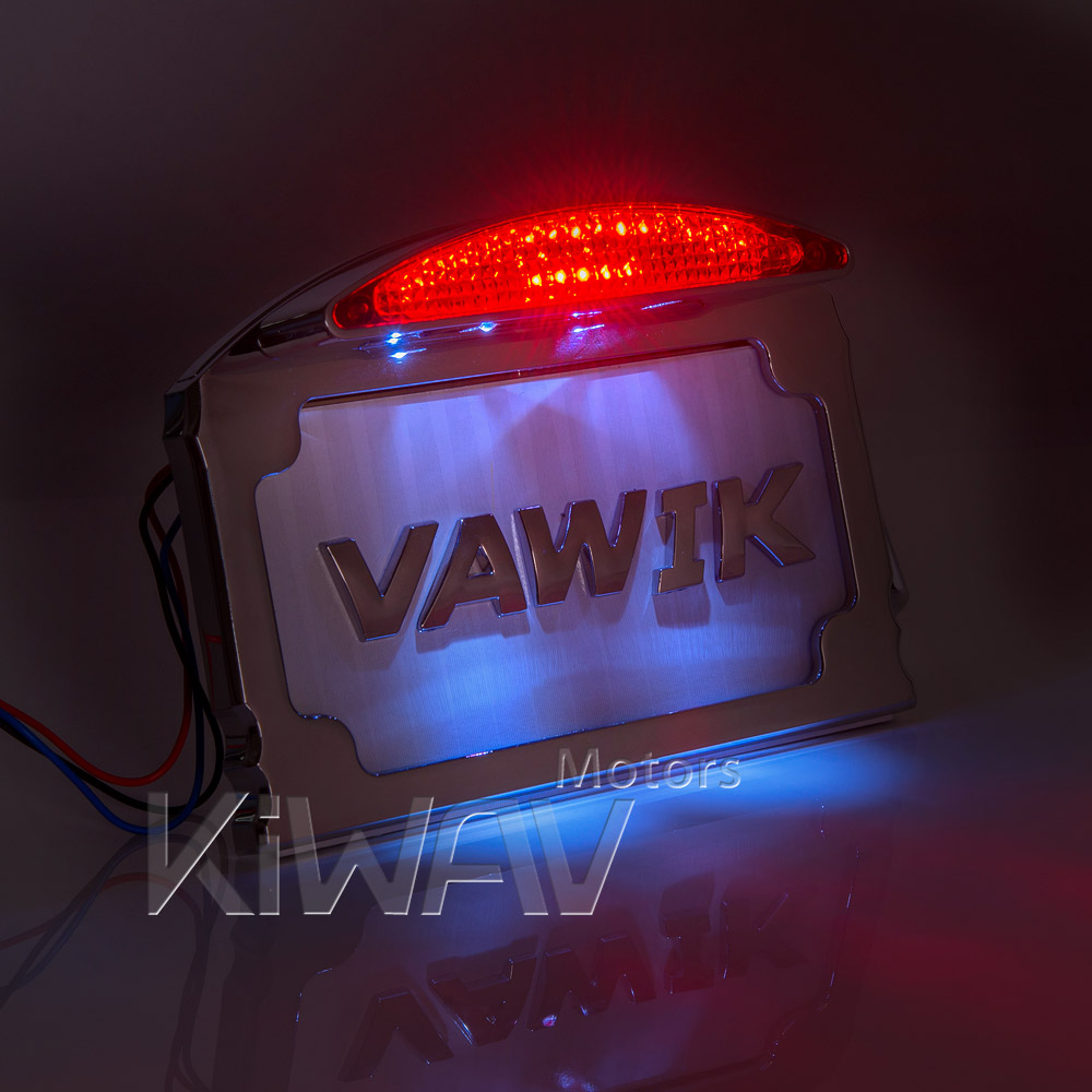 Lights & Indicators: LED taillight license plate frame